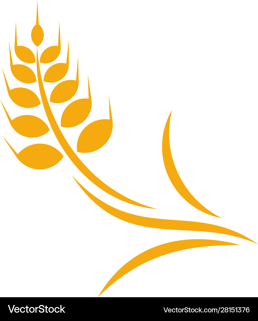 Agriculture wheat logo template luxury wheat Vector Image