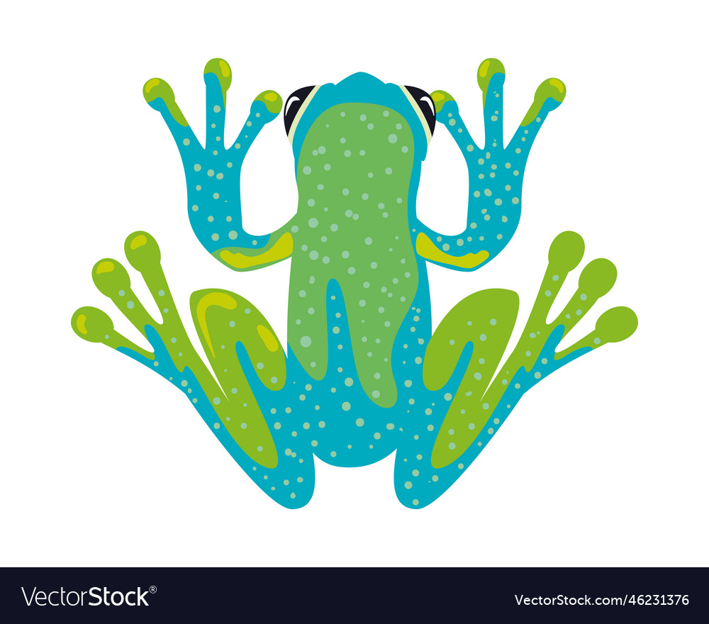 Flat frog Royalty Free Vector Image - VectorStock