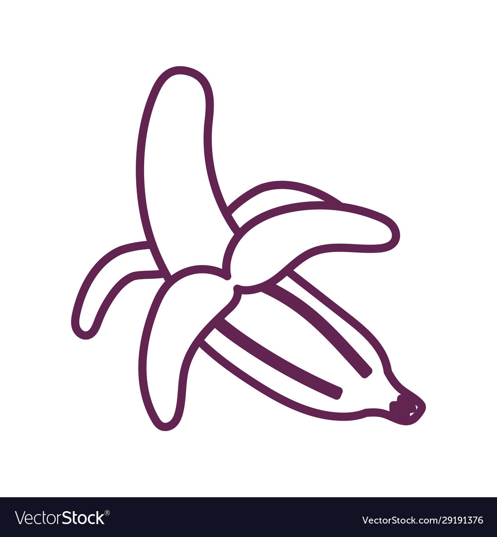 Fresh banana fruit isolated icon Royalty Free Vector Image