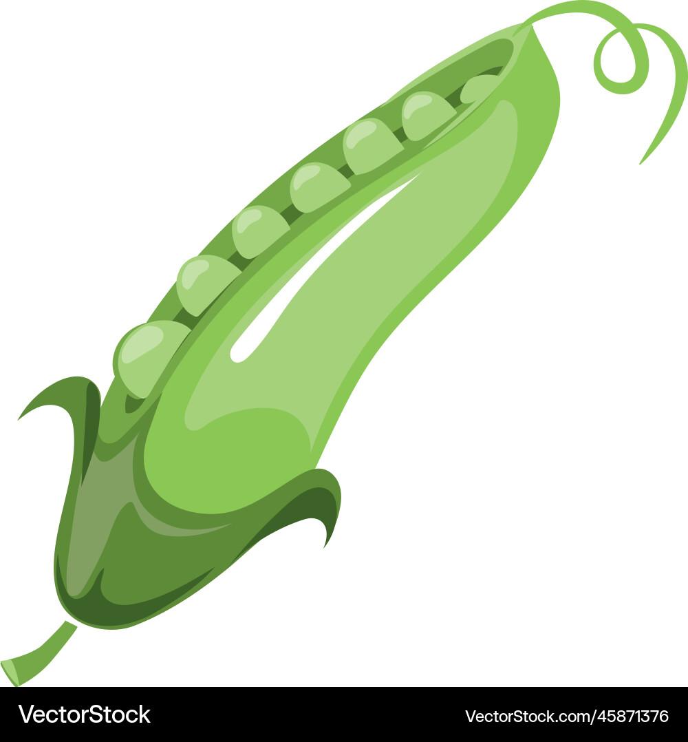Green pea pod icon fresh raw natural bean Vector Image