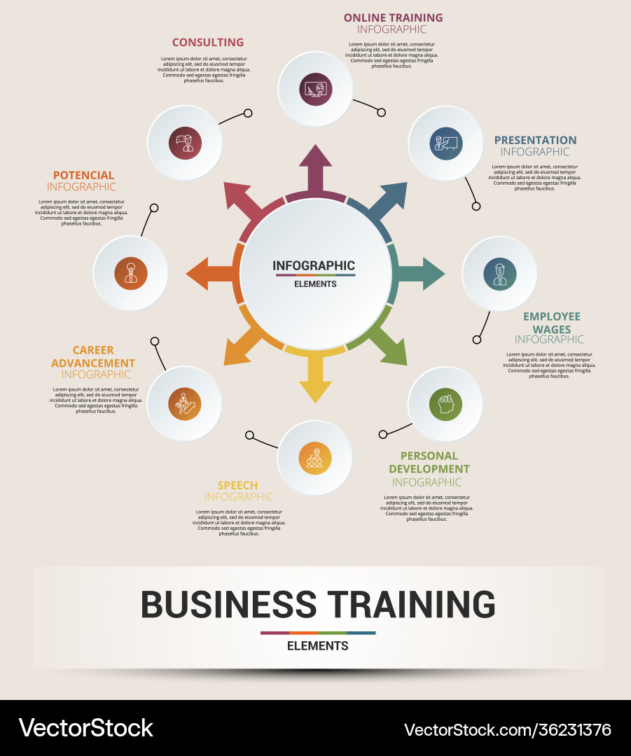 Infographic business training template icons in Vector Image