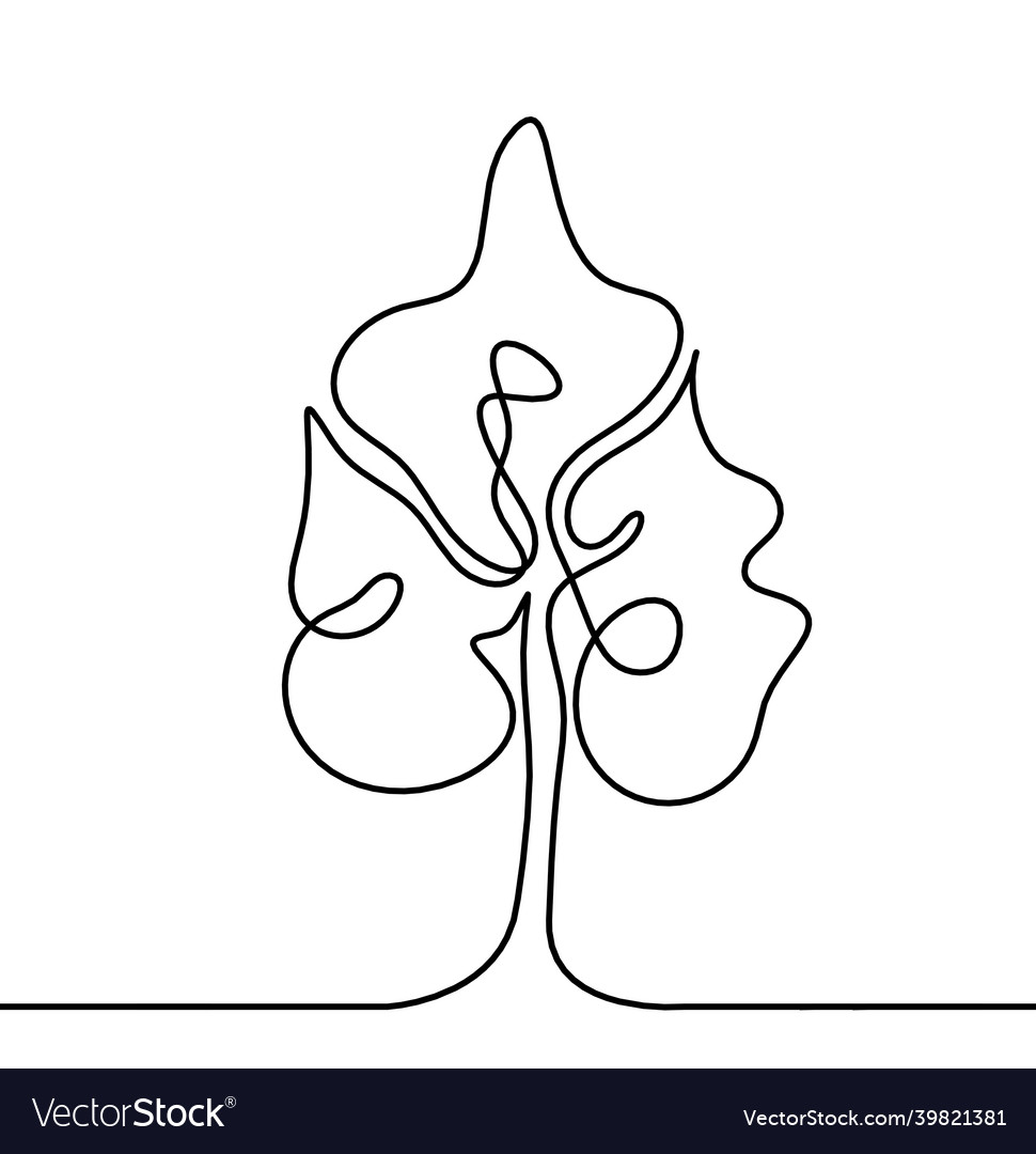Abstract tree as line drawing on the white Vector Image