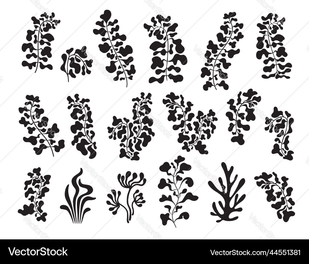 Floral abstract design set in black color Vector Image