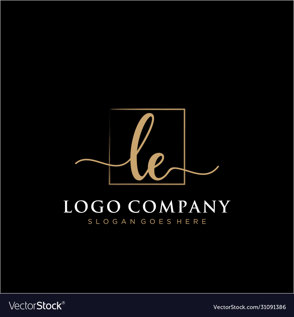 Le initial handwriting logo with rectangle Vector Image