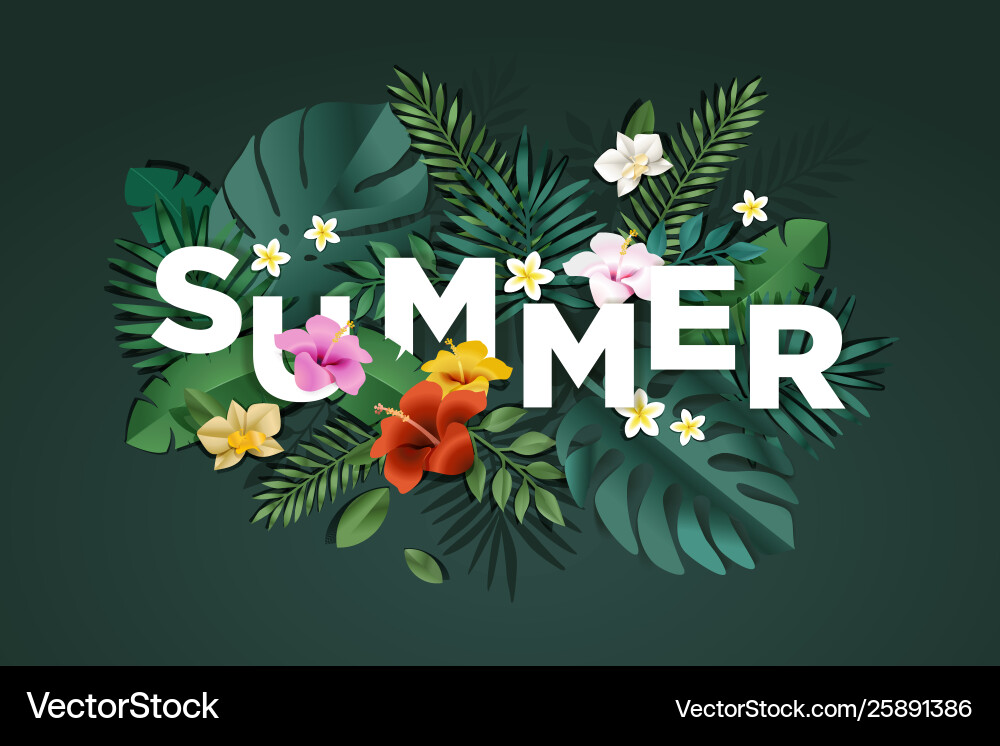 Summer sign Royalty Free Vector Image - VectorStock