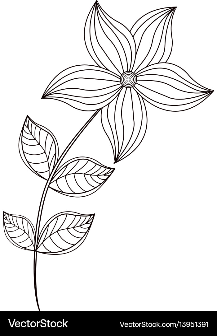 Flower garden decoration line Royalty Free Vector Image