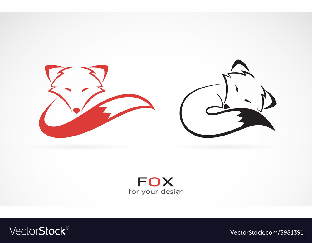 Image an fox design Royalty Free Vector Image - VectorStock