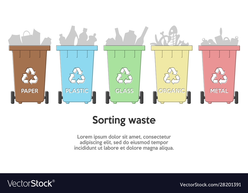 Sorting waste concept plastic containers Vector Image