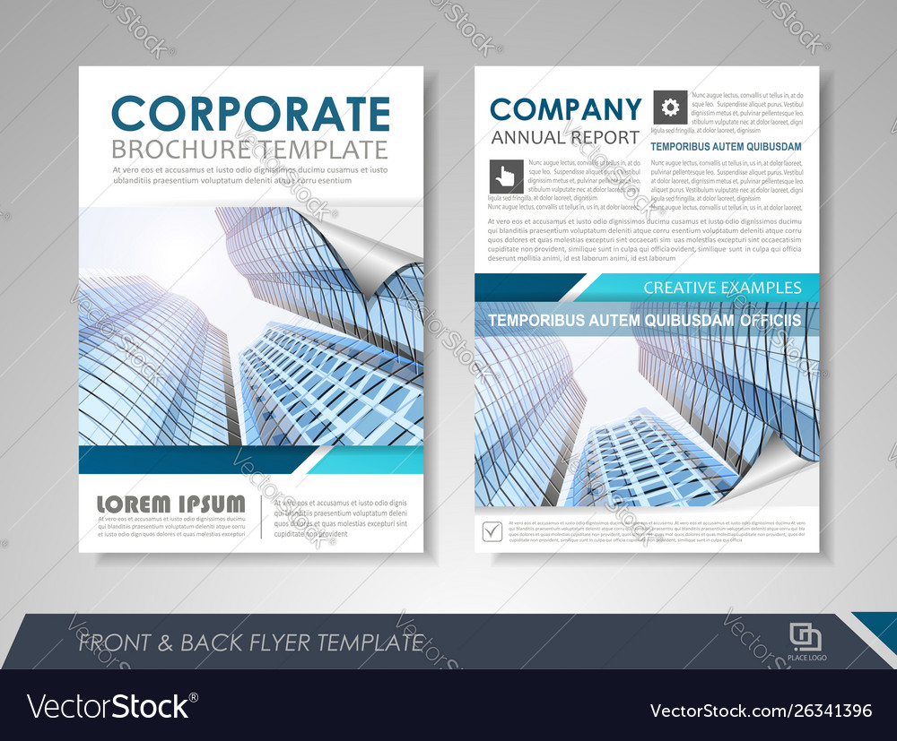 Flyer design layout Royalty Free Vector Image - VectorStock