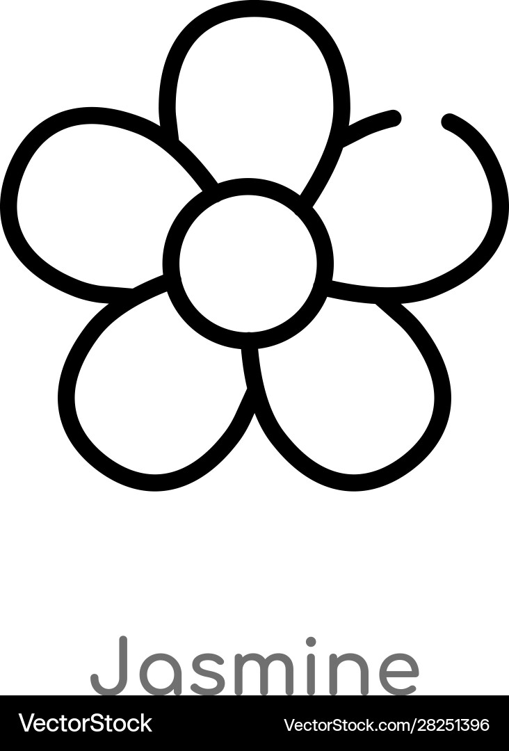 Outline jasmine icon isolated black simple line Vector Image