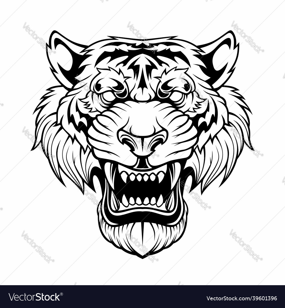 Tiger head Royalty Free Vector Image - VectorStock