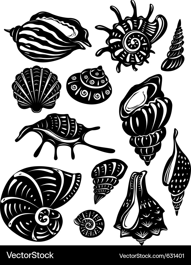 Set of decorative shell Royalty Free Vector Image