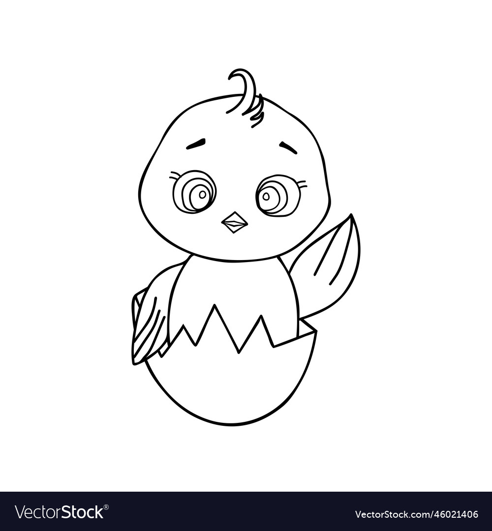 Funny and cute yellow newborn chicken in broken Vector Image Funny and cute yellow newborn chicken in broken Vector Image