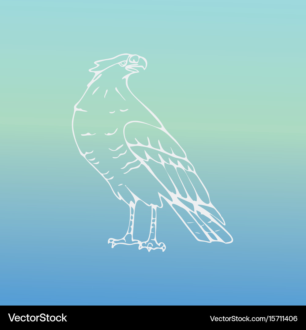 Hand-drawn graphics bird predator of prey Vector Image