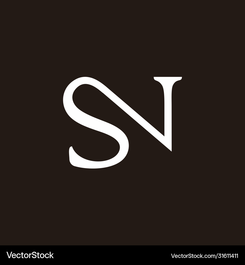 Letter sn simple linked curves design logo Vector Image