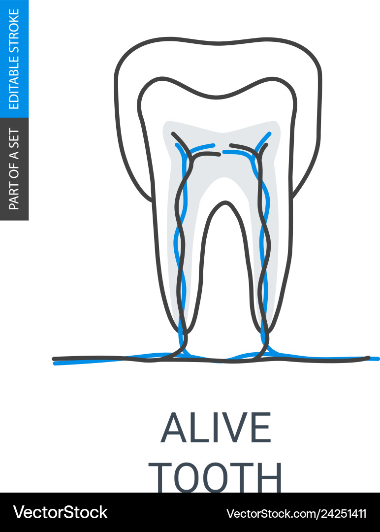 Living tooth with vessels and veins icon Vector Image