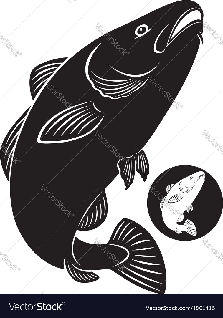 Cod fish Royalty Free Vector Image - VectorStock