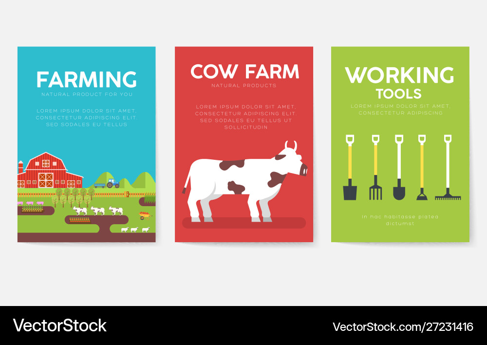 Farm information cards set nature template Vector Image