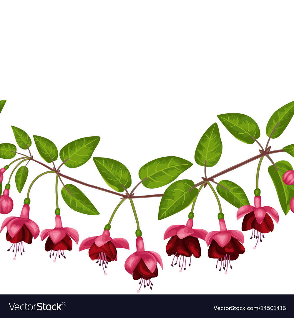 Fuchsia seamless border Royalty Free Vector Image