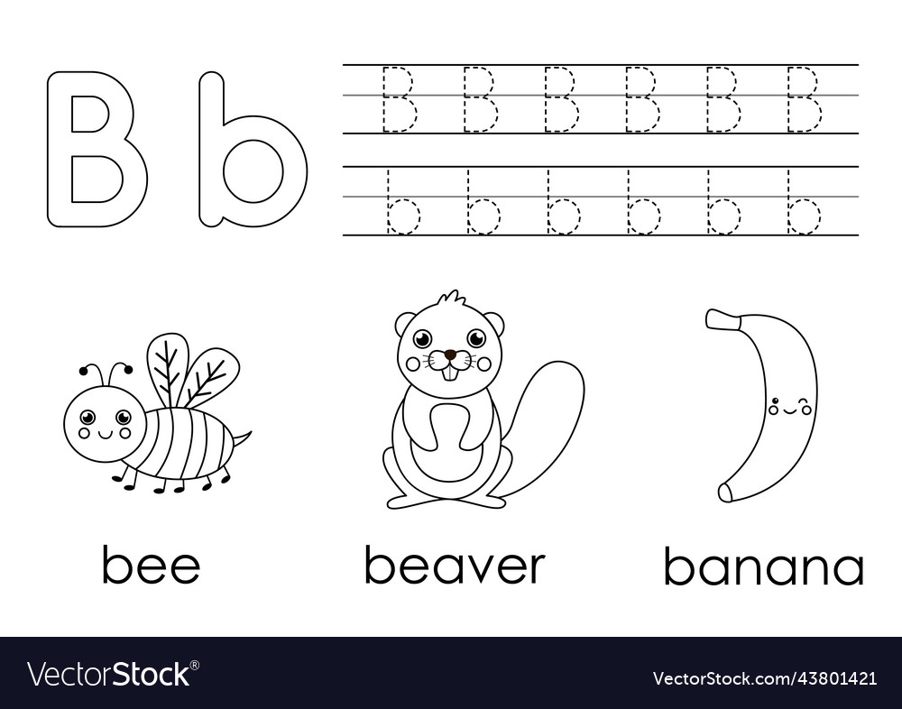 Tracing alphabet letters for kids learning letter Vector Image