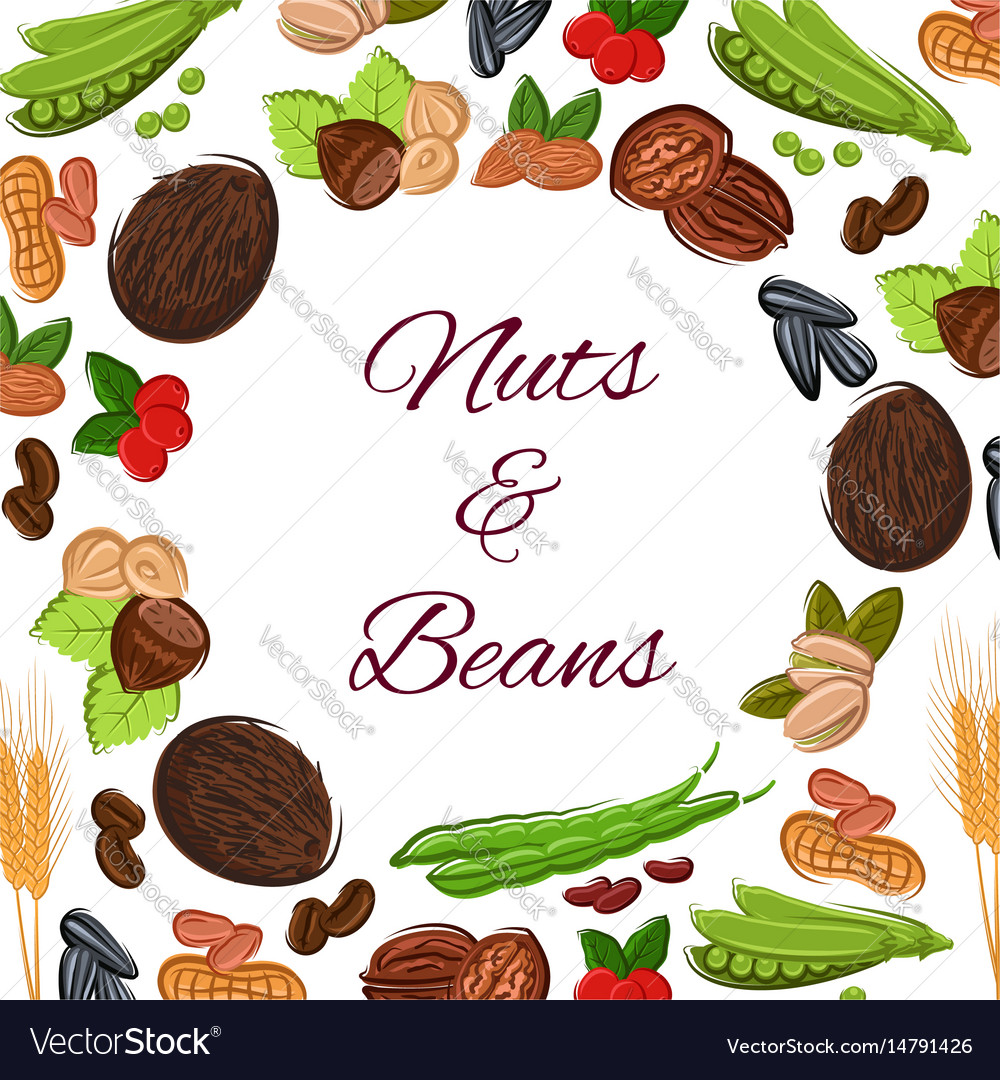 Round poster of nuts grain and seeds Royalty Free Vector