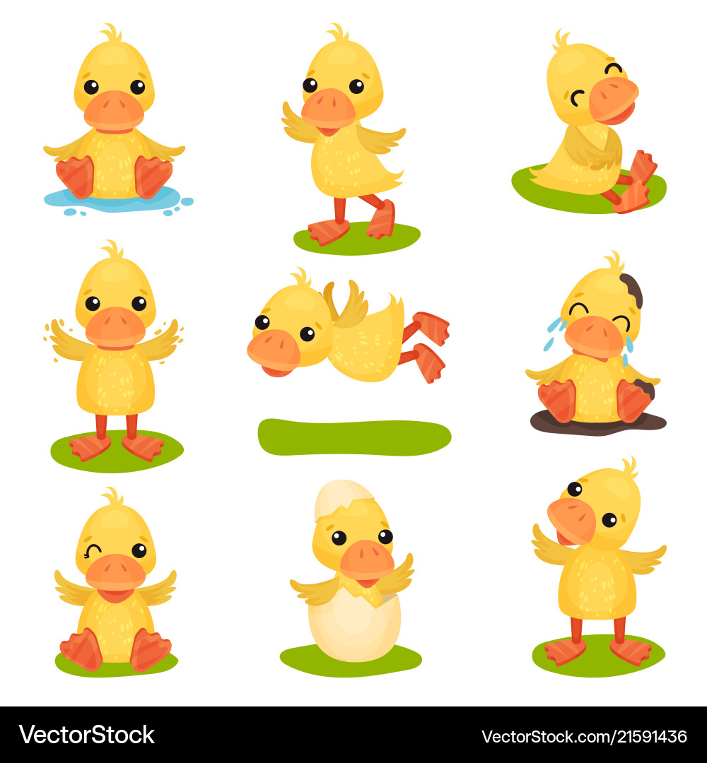 Cute little yellow duckling character set chick Vector Image