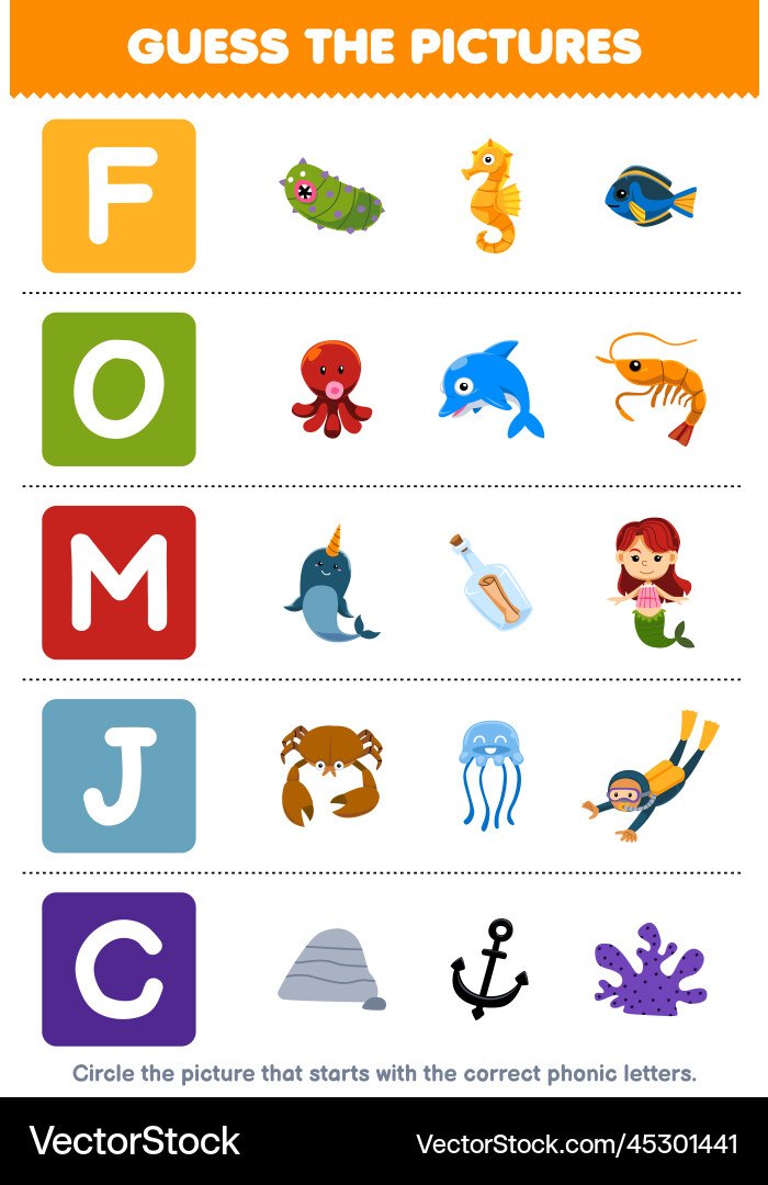 Education game for children guess the correct Vector Image