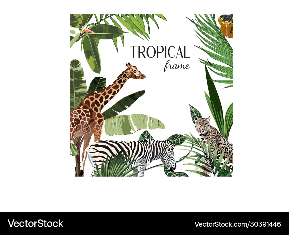 African safari animals frame cute Royalty Free Vector Image