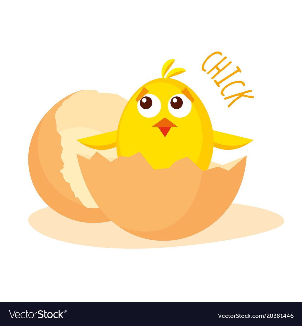 Chick Royalty Free Vector Image - VectorStock