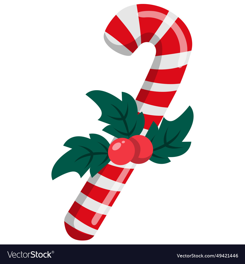 Christmas candy cane with holly berries Royalty Free Vector
