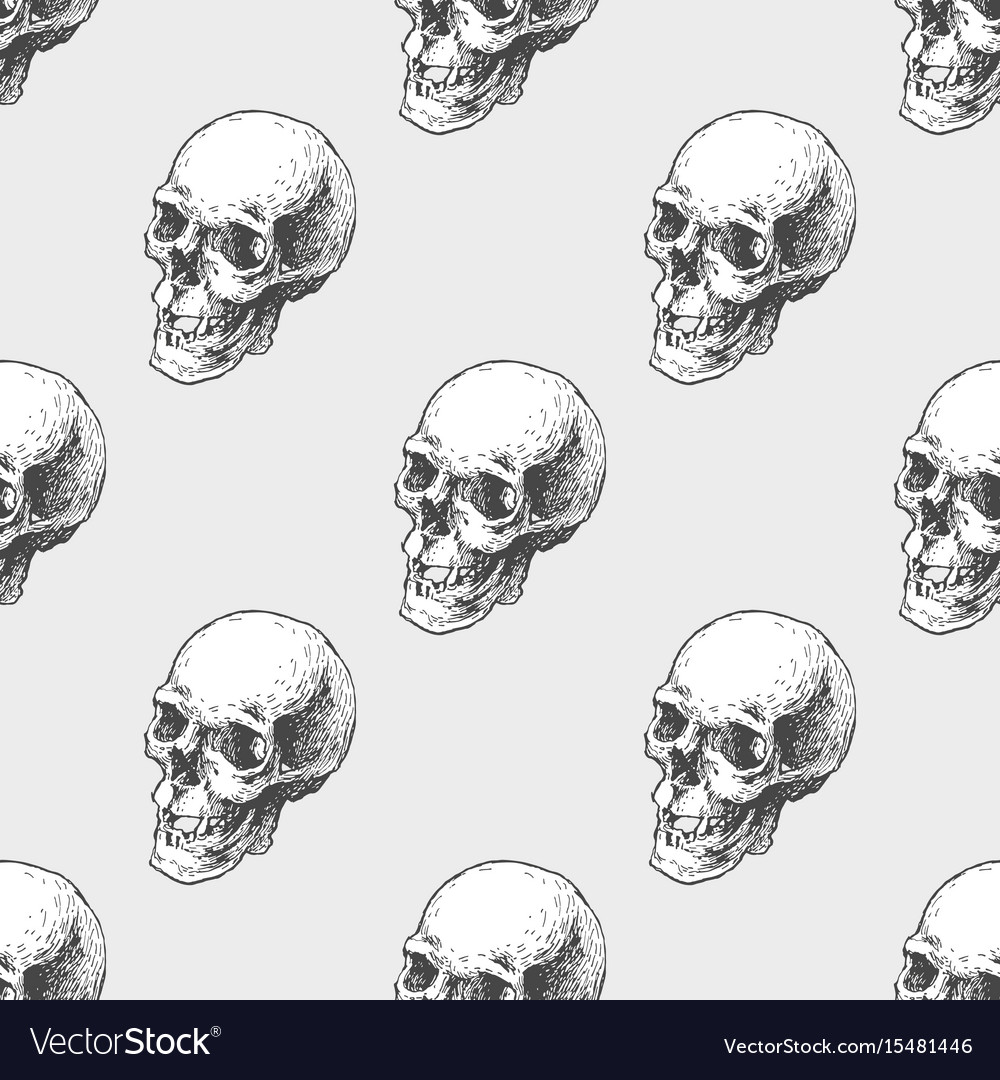 Skulls seamless pattern Royalty Free Vector Image