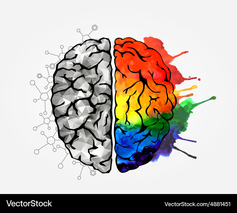 Concept of the human brain Royalty Free Vector Image