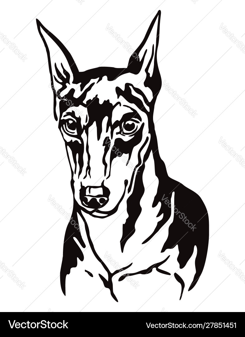 Decorative portrait miniature pinscher Royalty Free Vector