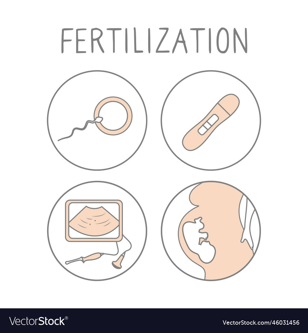 Fertilization icon set linear simple Royalty Free Vector