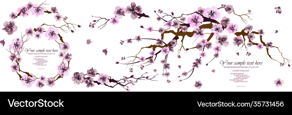 Floral watercolor elements with sakura flowers Vector Image