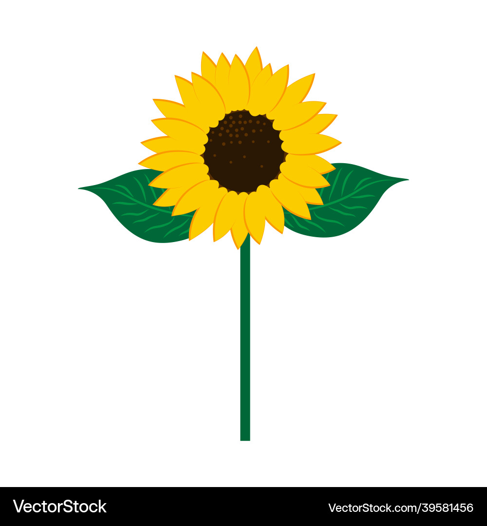 Sunflower with stem icon nature concept Royalty Free Vector