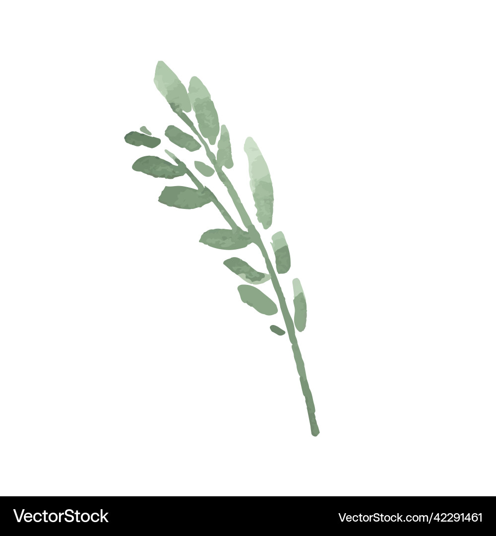 Leaf icons isolated on white background logo sign Vector Image