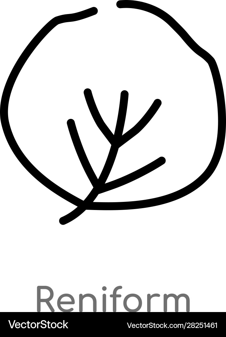 Outline reniform icon isolated black simple line Vector Image