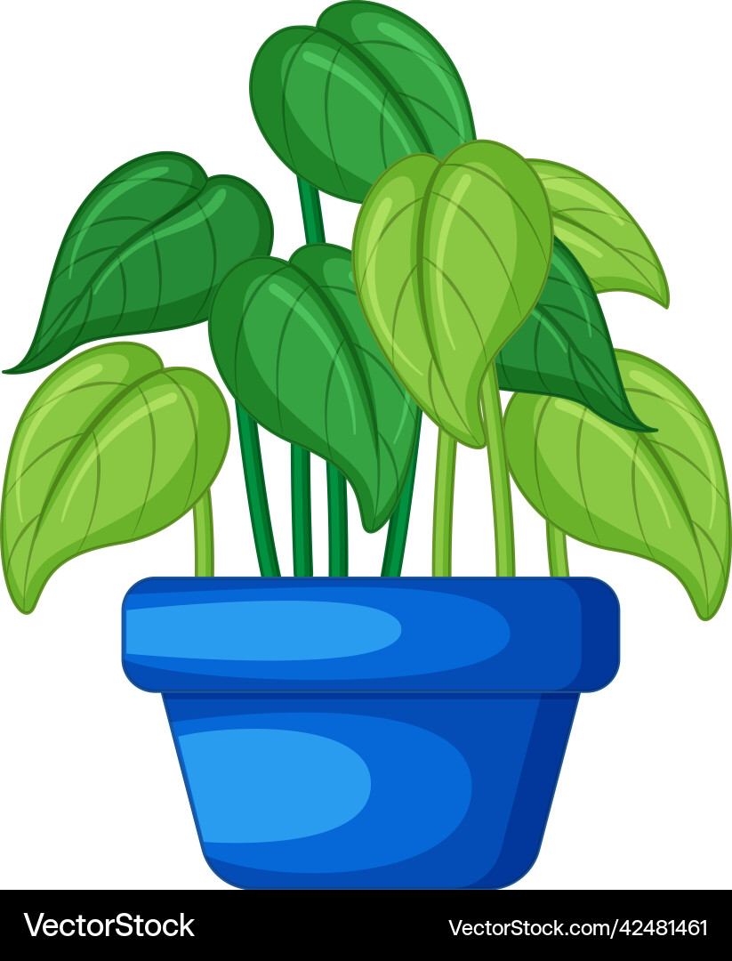 Plant in a pot cartoon Royalty Free Vector Image