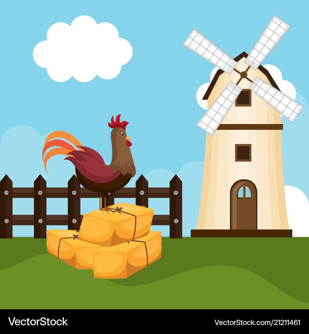 Roosters in farm scene Royalty Free Vector Image