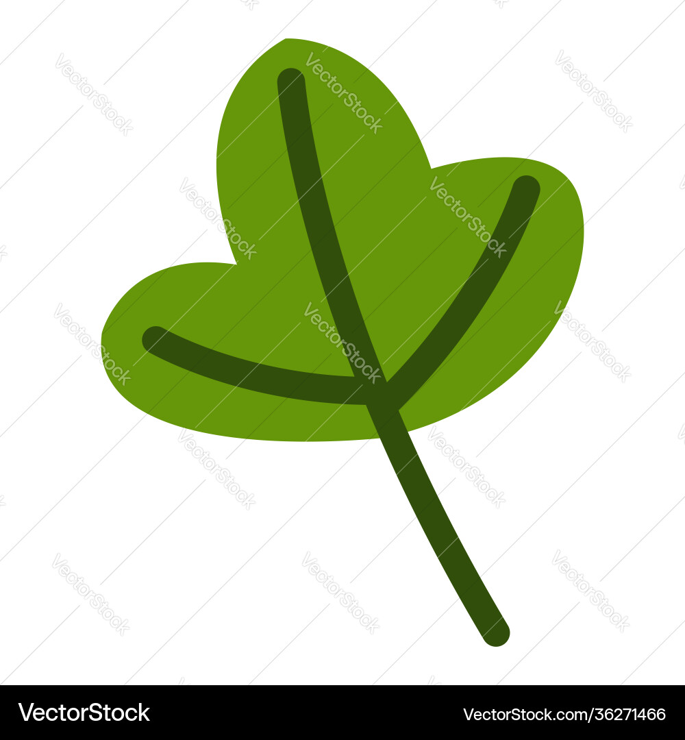 Hand drawn triple autumn leaf isolated on white Vector Image