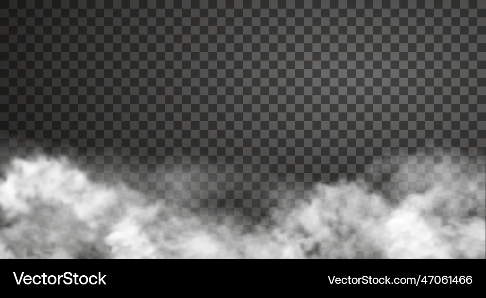 Realistic fog effect isolated on transparent Vector Image