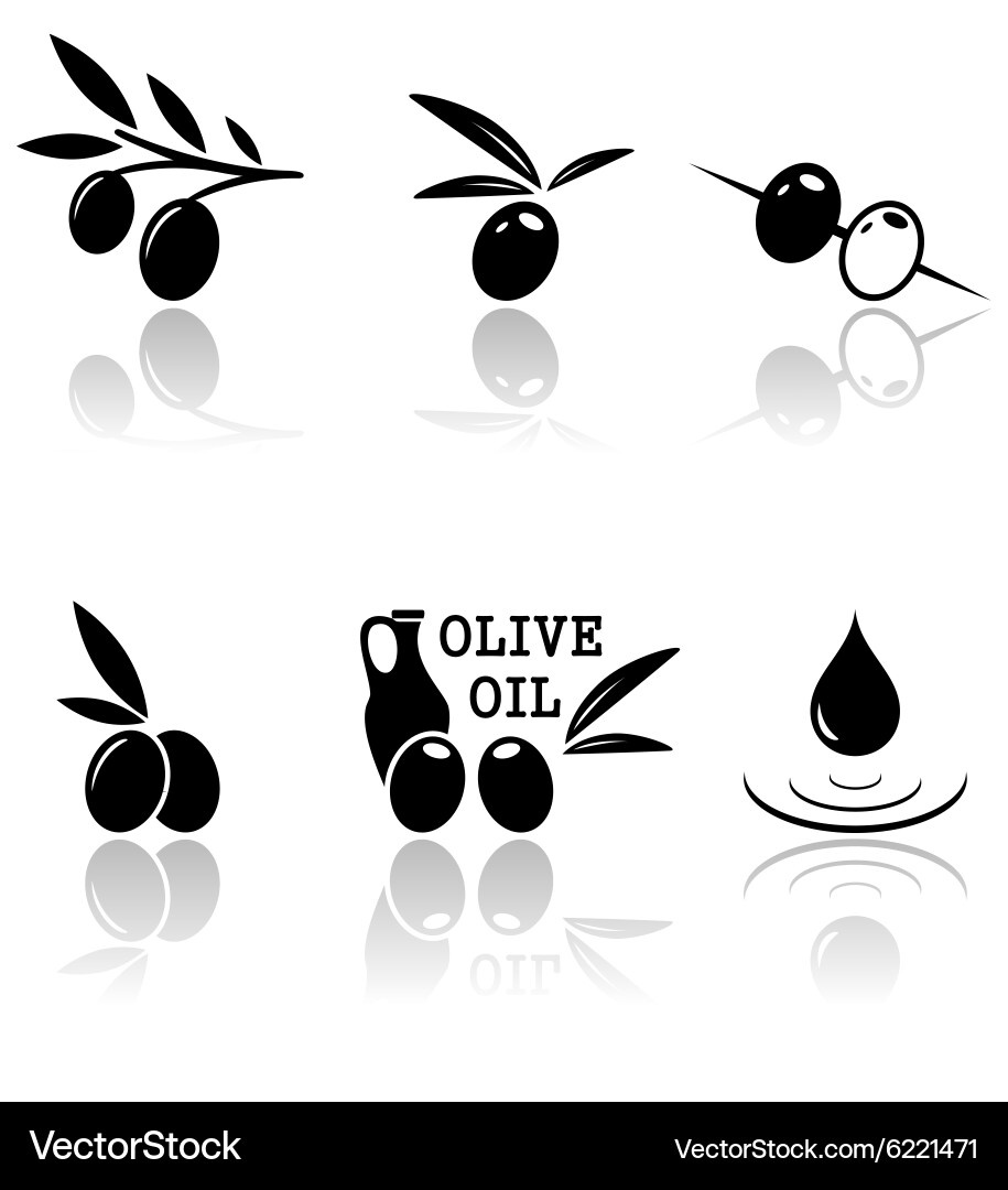 Set of olive icons Royalty Free Vector Image - VectorStock