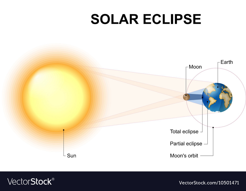 Solar eclipses Royalty Free Vector Image - VectorStock