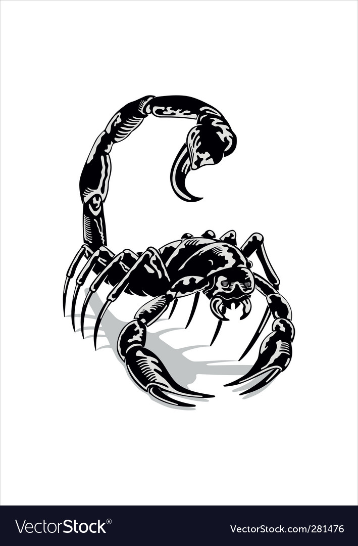 Scorpion Royalty Free Vector Image - VectorStock