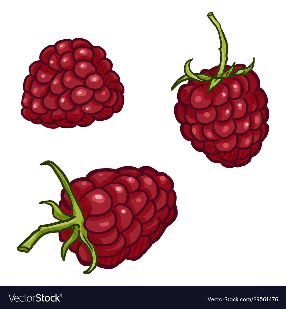 Set cartoon raspberry Royalty Free Vector Image