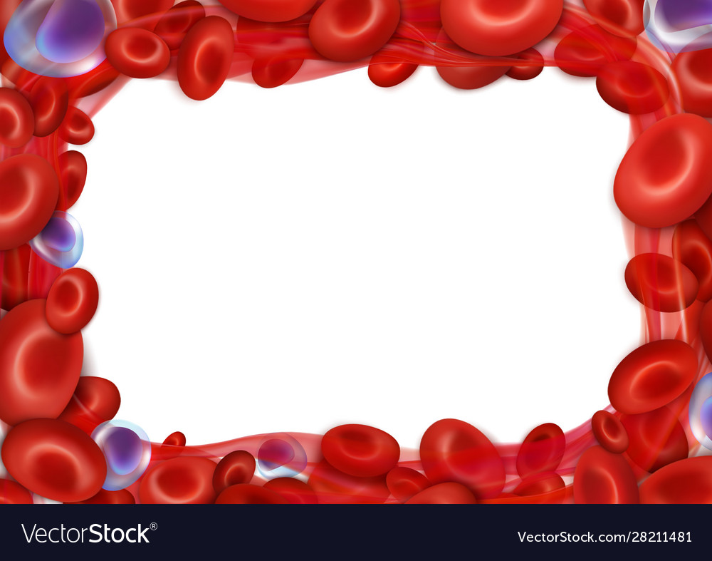 Snn blood circulation rectangular frame isolated Vector Image