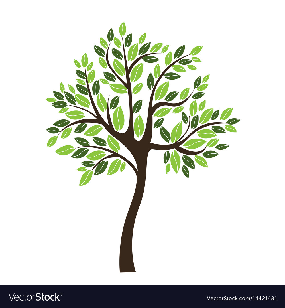 Tree Royalty Free Vector Image - VectorStock
