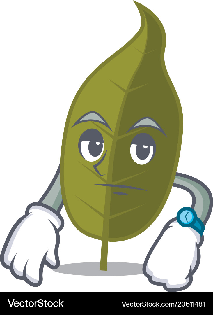 Waiting bay leaf mascot cartoon Royalty Free Vector Image