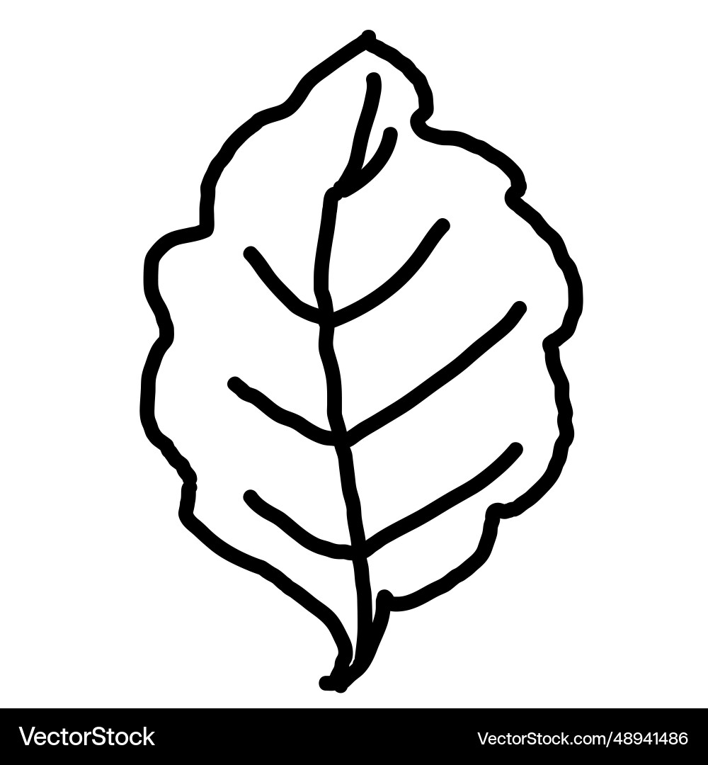 Outline leaf Royalty Free Vector Image - VectorStock